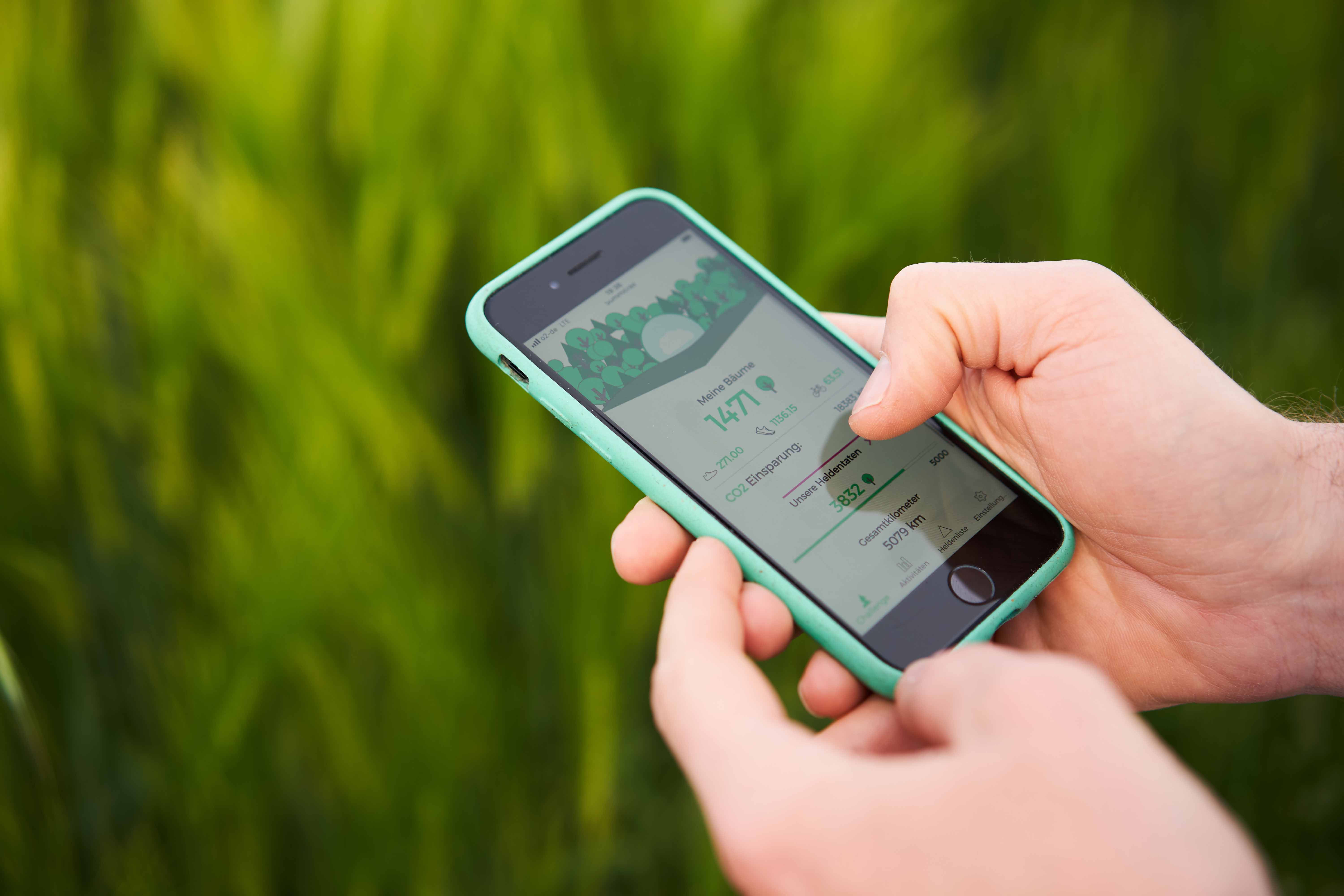 Erfolgsgeschichte summitree